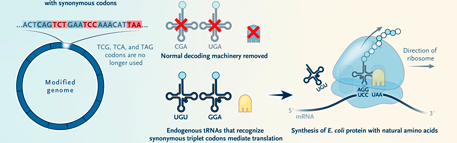 SAVALnet - Ciencia y Medicina - Progresos Médicos